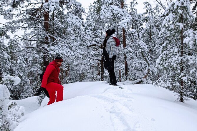Hiking tour in Nuuksio National Park with meal and snacks - Why This Tour Is a Great Choice