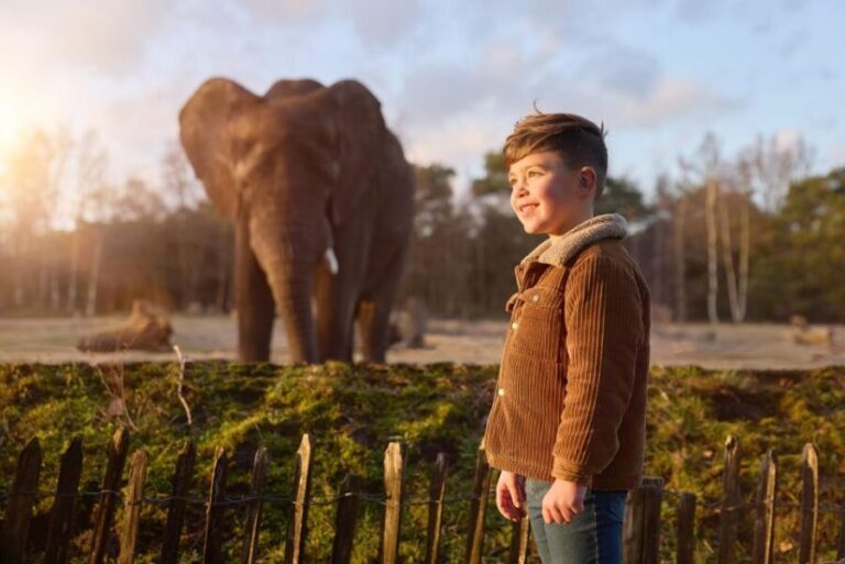 Hilvarenbeek: Safaripark Beekse Bergen Entry Ticket - Who Will Love This Experience?