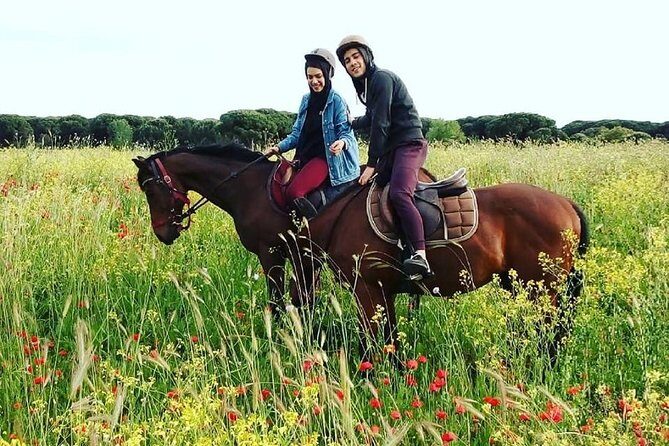 Horse Sanctuary & Trail Ride in Ostia Antica - Practical Tips for Your Ride