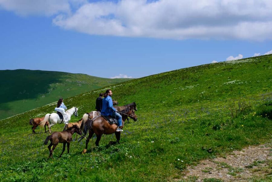 Horseback Adventure in Armenias Highland Pastures - Relaxing End to a Scenic Ride