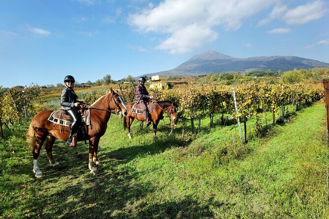 Horseback Riding on Vesuvius - The Experience of the Guides and Horses
