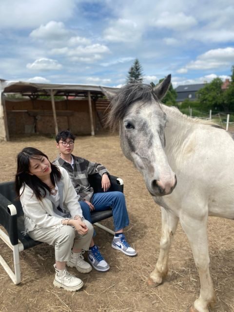 Horseback riding tour near Prague - A Genuine Connection with Nature and Animals