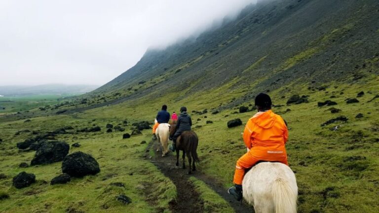 Hveragerdi: Reykjadalur (Hotspring Valley) Horse Riding Tour - The Cost-Value Balance