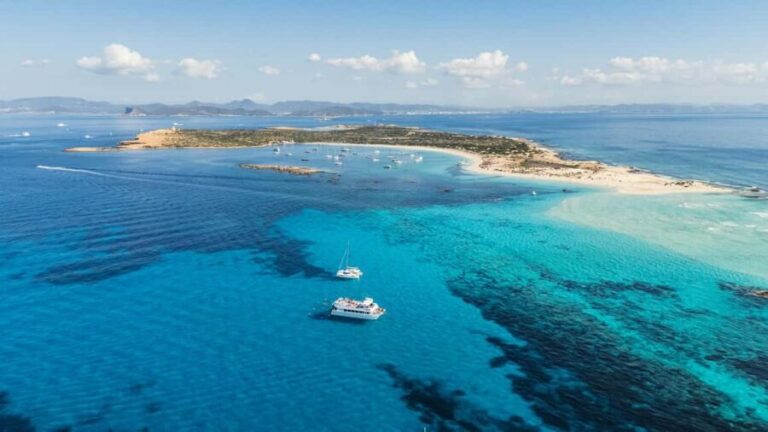 Ibiza: Formentera Trip with Paddle, Snorkel and Lunch - Who Is This Tour Best Suited For?