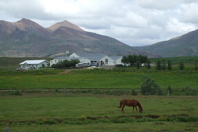 Icelandic Horseback Riding Tour Including Pick Up from Reykjavik - Who Should Book This Tour?