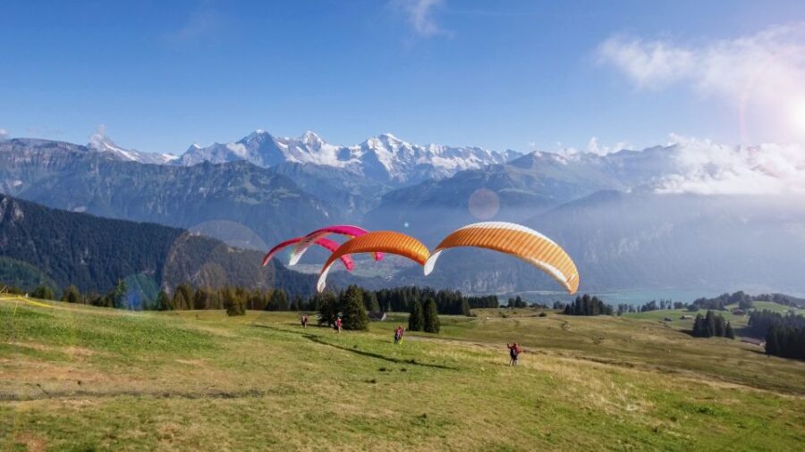 Interlaken: Tandem Paragliding Flight with Pilot - Final Thoughts: Who Will Love This Experience?