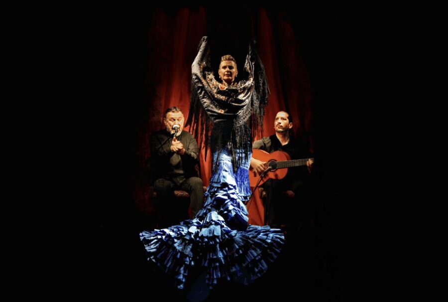 Intimate Authentic Flamenco Show in Barcelona at Casa Sors - Authenticity and Personal Touches