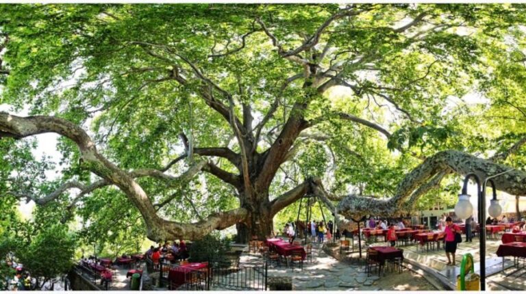 Istanbul: Bursa & Uludag Mountain Day Trip w/ Opt. Cable Car - Why This Tour Offers Real Value