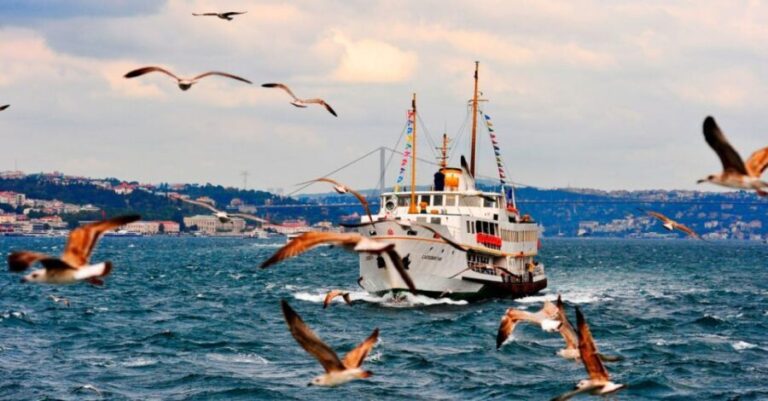 Istanbul: Private Bosphorus Cruise By Luxury Yacht - Who Will Love This Tour?