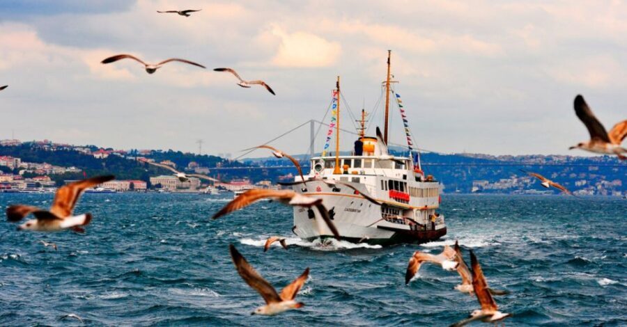 Istanbul: Private Bosphorus Cruise By Luxury Yacht - Who Will Love This Tour?