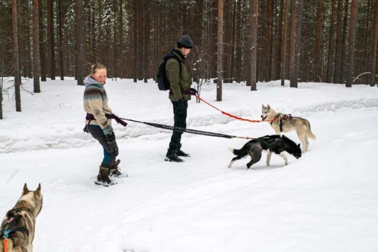 Ivalo - Saariselkä: Husky Walk in the Wilderness - Practical Details That Matter