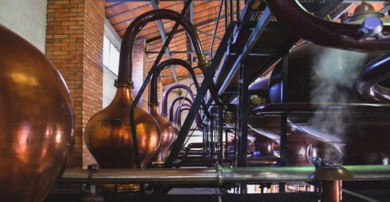 Jarnac: Braastad cognac discovery tour - What Makes This Tour Special?