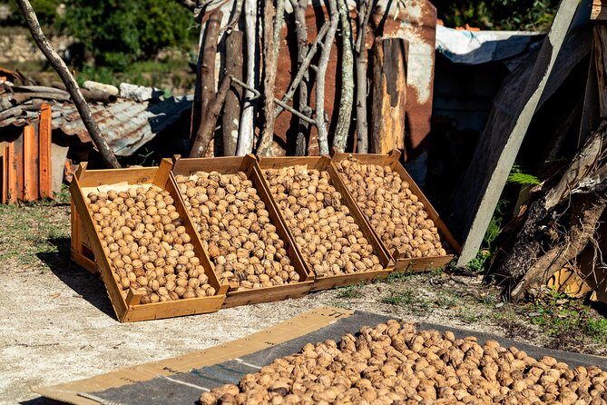 Jeep Safari #1 in Algarve - What Makes This Tour Stand Out?