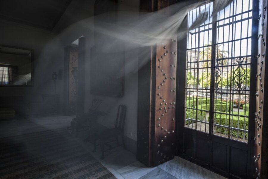 Jerez de la Frontera: Palacio Domecq Entrance Ticket - Final Thoughts — Why You Should Consider Visiting Palacio Domecq