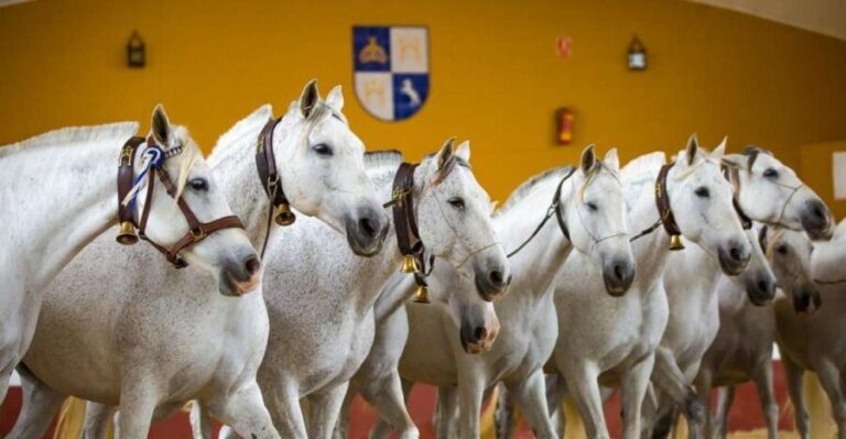 Jerez: Yeguada de la Cartuja Carthusian Horses Tour - What You Can Expect from the Tour