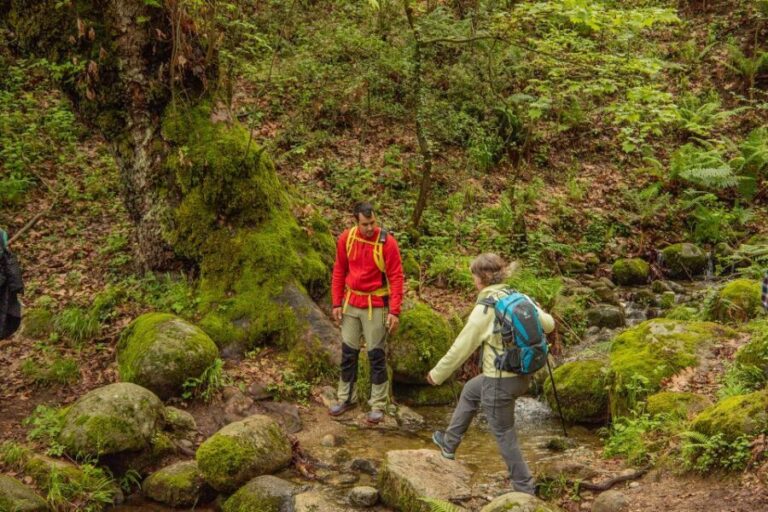 Kalabaka: Meteora Small-Group Hiking Tour w/ Monastery Visit - The Itinerary in Detail