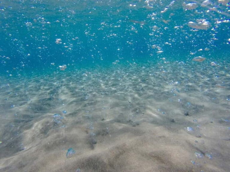 Kardamaina: Pirate Boat Cruise to 3 Bays with BBQ Lunch - The Experience in Detail