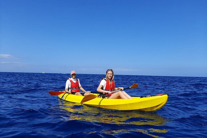 Kayak Safari with Dolphin and Turtle Watching in Guaza - The Itinerary: What You Can Expect