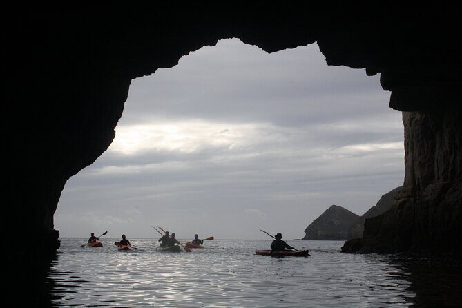 Kayak y snorkell por las mejores calas del Parque Natural Cabo de Gata - Authentic Insights from Reviewers