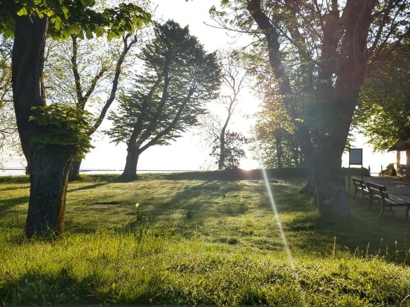 Keitum: Guided Village Walking Tour - The Itinerary: Walking Through History and Beauty