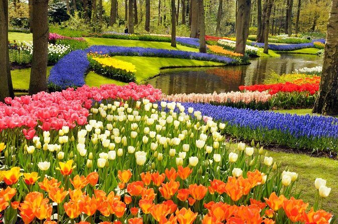 Keukenhof Gardens & Tulip Experience Tour from Amsterdam - Transportation, Group Size, and Timing