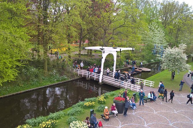 Keukenhof's Tulips and Windmills Small-Group Tour from Amsterdam - What Sets This Tour Apart?