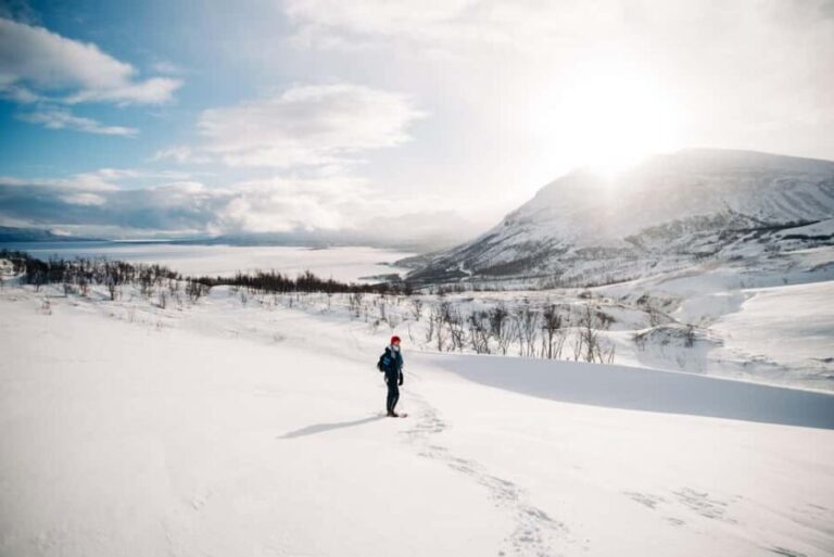 Kiruna: Daytime Snowshoe Hike - The Experience in Detail