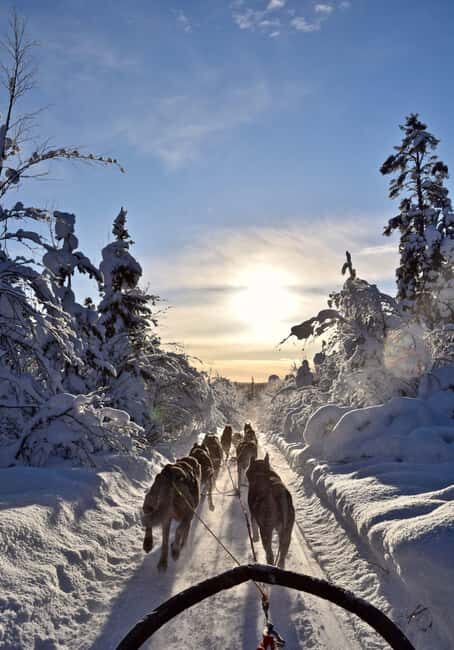 Kiruna: Family-friendly Short Husky Tour with Coffee - The Practical Details