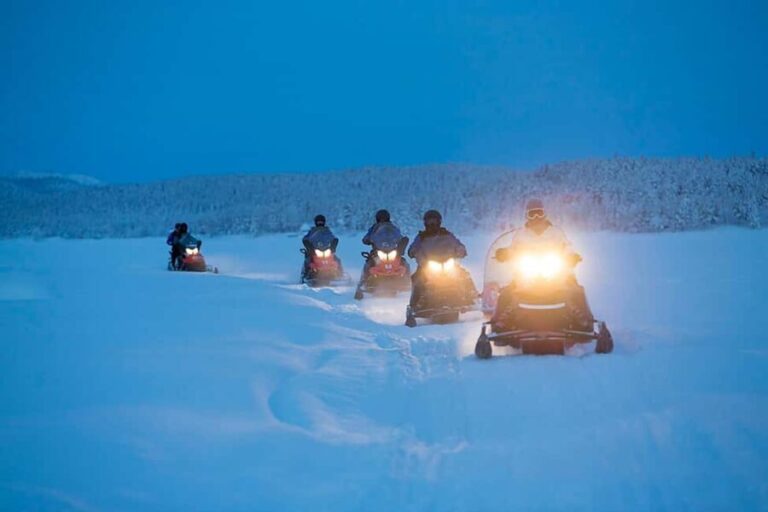 Kiruna: Guided Snowmobile Tour with Coffee Break - Who Will Love This Tour?
