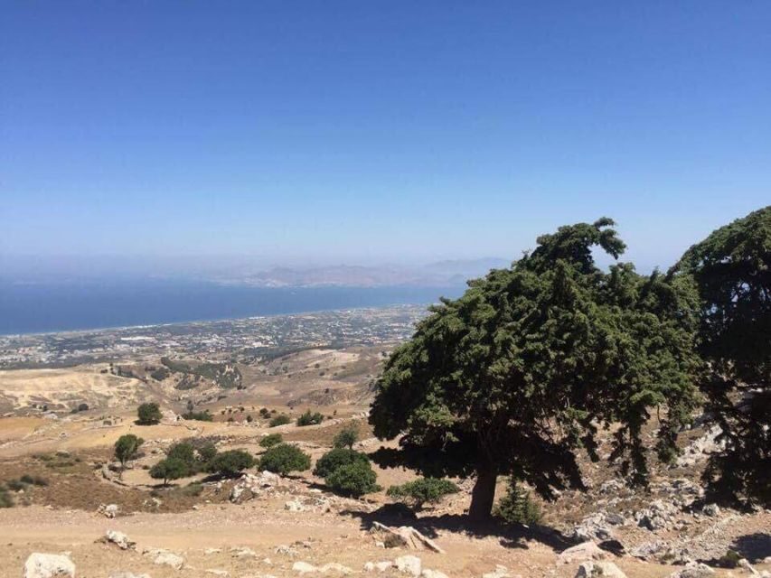 Kos: Full-Day Jeep Safari with Lunch - Transportation & Group Size: What it Means for You