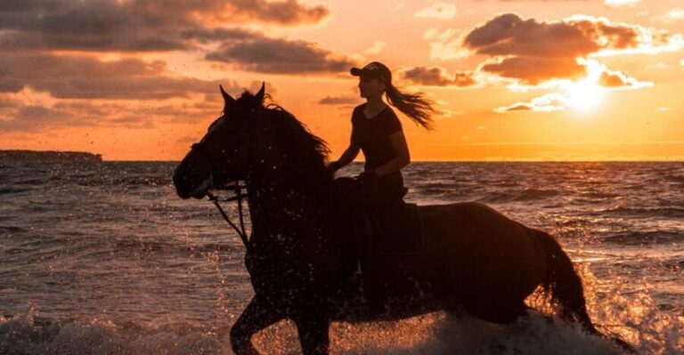 Kos: Horse Riding Experience on the Beach with Instructor - Why This Tour Offers Real Value