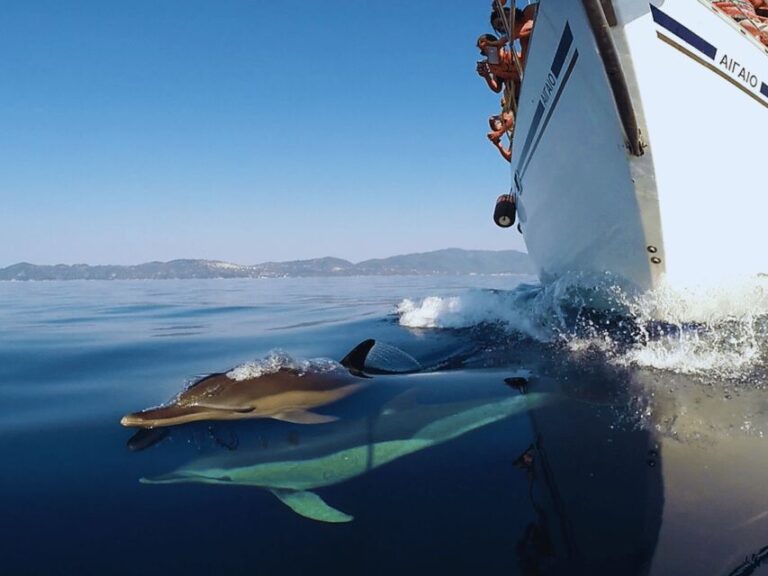 Kos: Small Group Full-Day Sailing with Meal, Drinks, & Swim - What Really Sets This Tour Apart