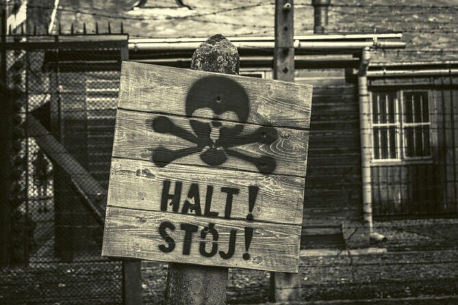 Krakow and Auschwitz Small Group Tour from Warsaw with Lunch - Practical Insights & Tips