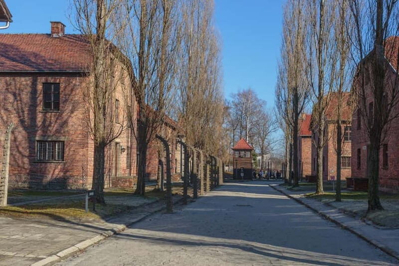 Krakow: Auschwitz-Birkenau Entry Ticket and Transfer - Practicalities and Tips