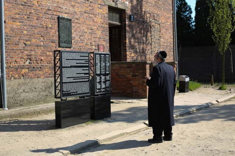 Krakow: Auschwitz-Birkenau Private Guided Tour - Who Is This Tour Best For?