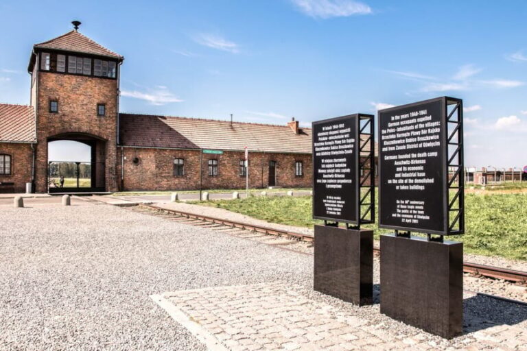 Krakow: Auschwitz-Birkenau & Wieliczka Salt Mine Day Tour - Transportation and Overall Logistics