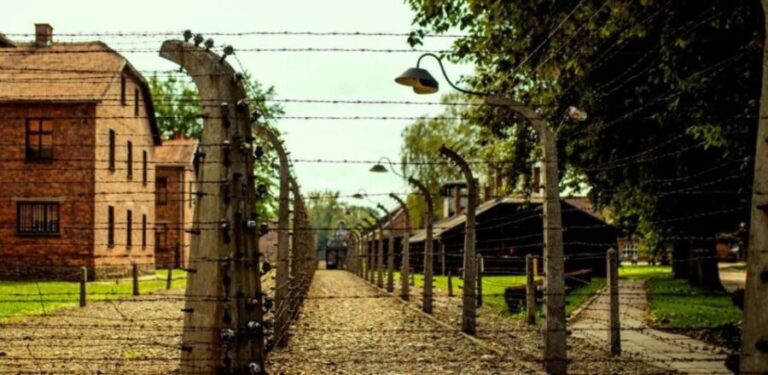 Krakow: Guided Auschwitz-Birkenau Tour - Minivan Transport - What We Love About This Tour