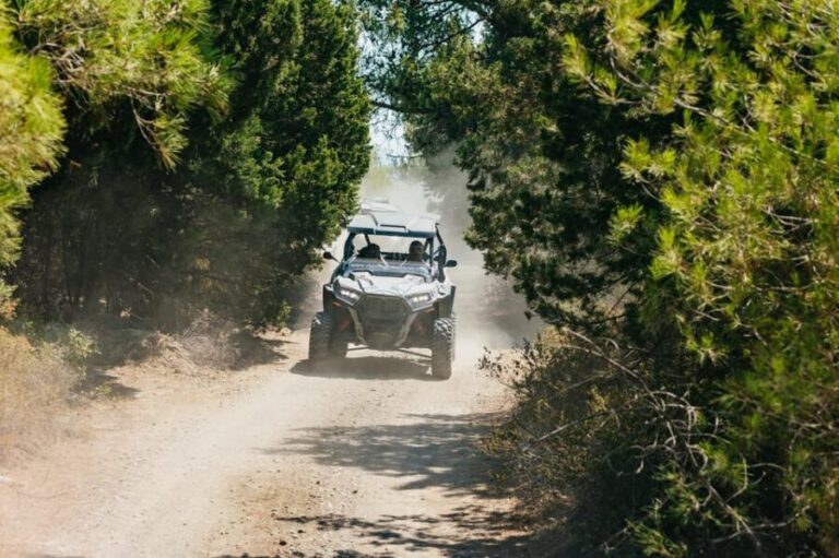 Kremasti: Rhodes 4x4 Buggy Off-Road Tour - Who Is This Tour Best For?