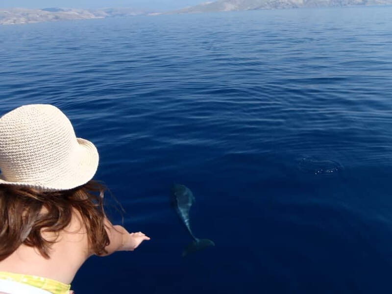 Krk:Rab & Pag Boat Trip with Swimming & City Tour with lunch - Practical Details and Why They Matter