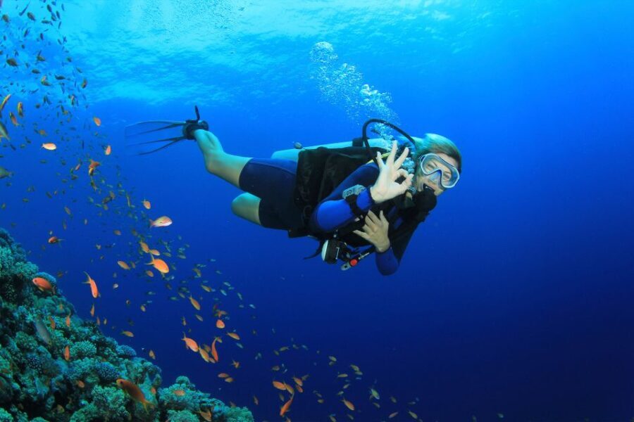 Kusadasi: Diving Experience with Lunch and Transfer - The Dive & Snorkel Experience