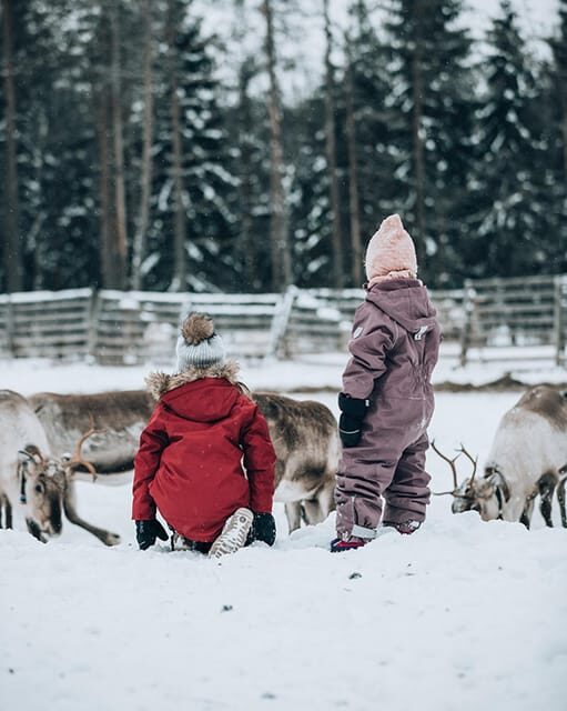 Kuusamo: Reindeer Sleigh Ride and Farm Visit - Who Will Love This Tour?