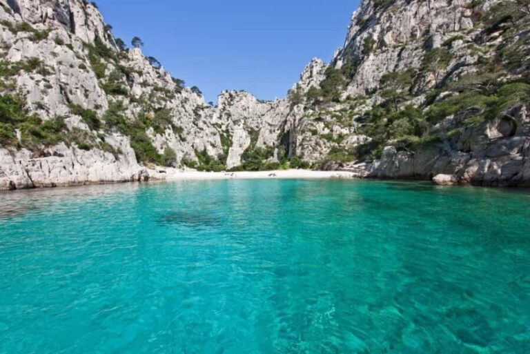 La Ciotat: Calanques Afternoon Boat Tour with Snorkeling - Why This Tour is Worth Considering