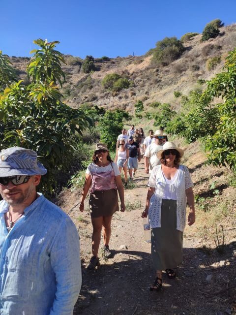 La Herradura Coffee Farm: tour in Europe's only plantation - The Experience: What You Can Expect