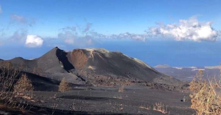 La Palma: Guided Tour to Tajogaite Volcano with Transfer - What to Expect on the Tour