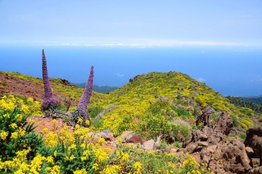 La Palma: Guided Trekking Tour to El Roque de los Muchachos - What Makes this Tour Special?
