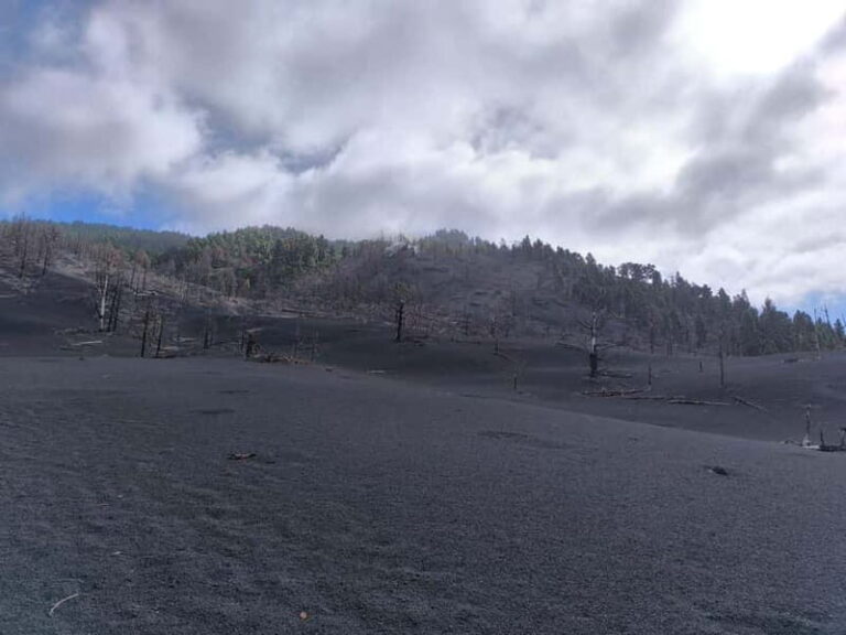 La Palma: Tajogaite Volcano Guided Hike - In-Depth Look at the Itinerary and Highlights