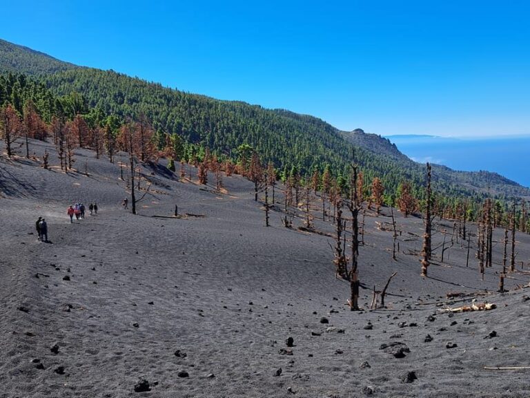 La Palma: Tajogaite Volcano Guided Trek - Practical Details and Tips