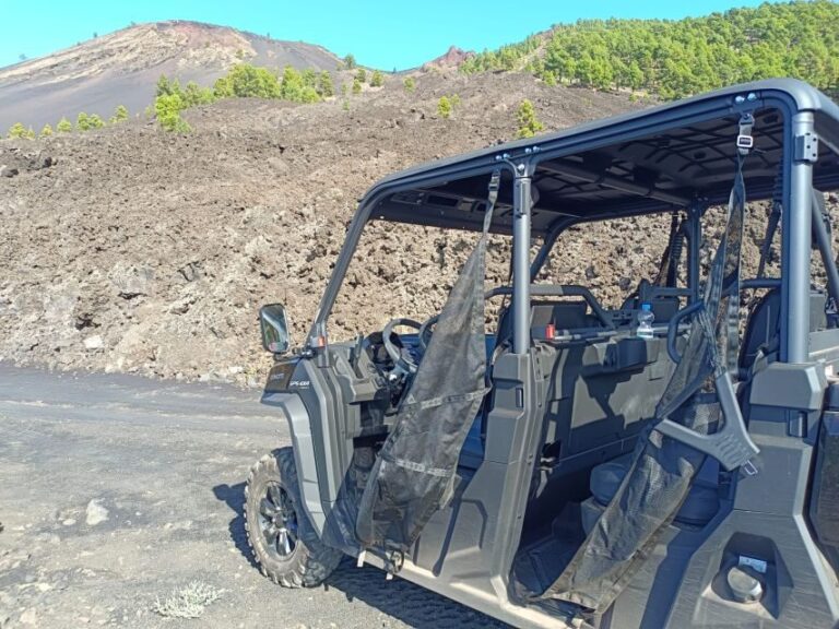 La Palma: Volcano Route Buggy Tour (Price Per Vehicle) 2 PAX - Who Will Love This Tour?