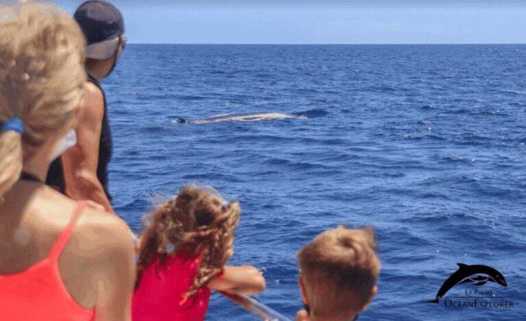 La Palma: Whale Watching Experience and Coastal Highlights - Insights from Reviewers: Authentic Perspectives