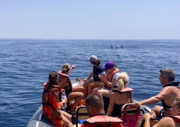 Lagoa: Dolphin Watching & Benagil Tour with Biologist Guide - Practical Information for Future Travelers